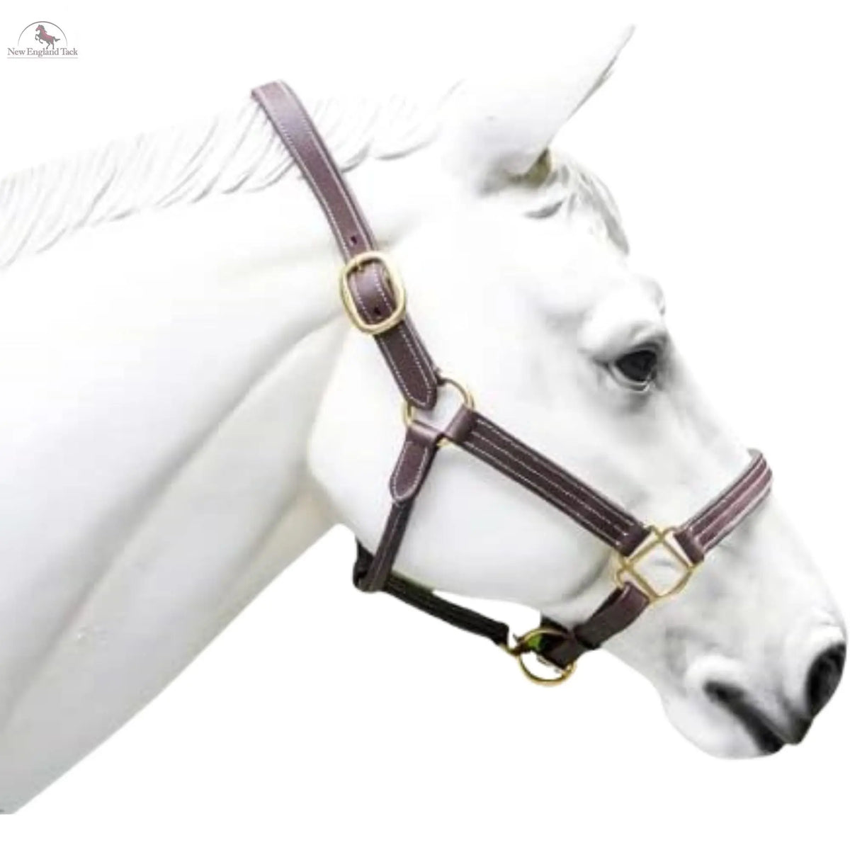 Leather Horse Halter Fancy Stitched - Brass Hardware - NewEngland Tack